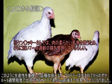 ニコニ･コモンズ