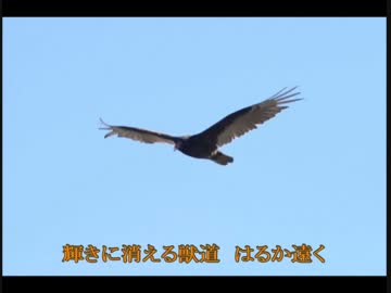 【録り直し音源】Rera/だいすけP feat. 猫村いろは【歌わせて頂きました】 - ニコニ･コモンズ