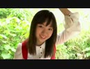 Yui_Kashiwagi_3 - nicozon