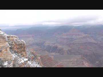 ニコニ･コモンズ