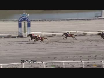 2022年3月16日高知競馬3R JRA交流競走 はりまや盃(JRA2勝クラス・A-2組以下) ダノンジャスティス - ニコニ･コモンズ