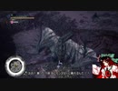 【MHW：IB】呼び戻されてアステラ リオレイア戦【東方】 - nicozon