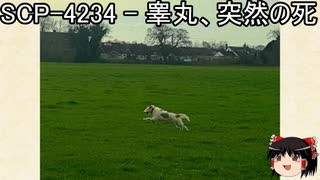 人気の「SCP朗読」動画 891本 - ニコニコ動画