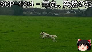 人気の「SCP」動画 7,872本 - ニコニコ動画
