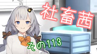 人気の「VOICEROID劇場」動画 69,958本(5) - ニコニコ動画