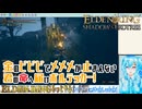 【実況】ELDEN RINGもっとやる！【233-DLC編】 - nicozon