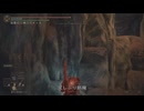 エルデンリング RMDライジングマストダイ 侵入Part 16 - nicozon
