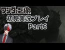 【Vtuber】初見で挑む「ワンダと巨像」実況プレイ part6 - nicozon