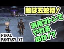 【FF11】汎用マトンで「虚ろなるモノ（ENM30BF医食同源 ）」「マーシナリキャンプ」に挑戦するぞぉぉぉ！__カッパのヴァナ・ディール生活 - nicozon